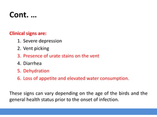 Infectious Bursal Disease Gumboro | PPTX