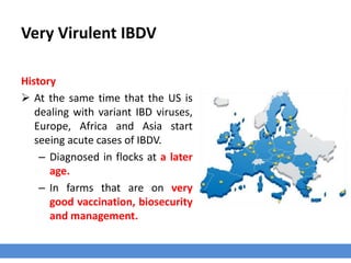 Infectious Bursal Disease Gumboro | PPTX