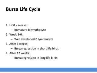 Infectious Bursal Disease Gumboro | PPTX