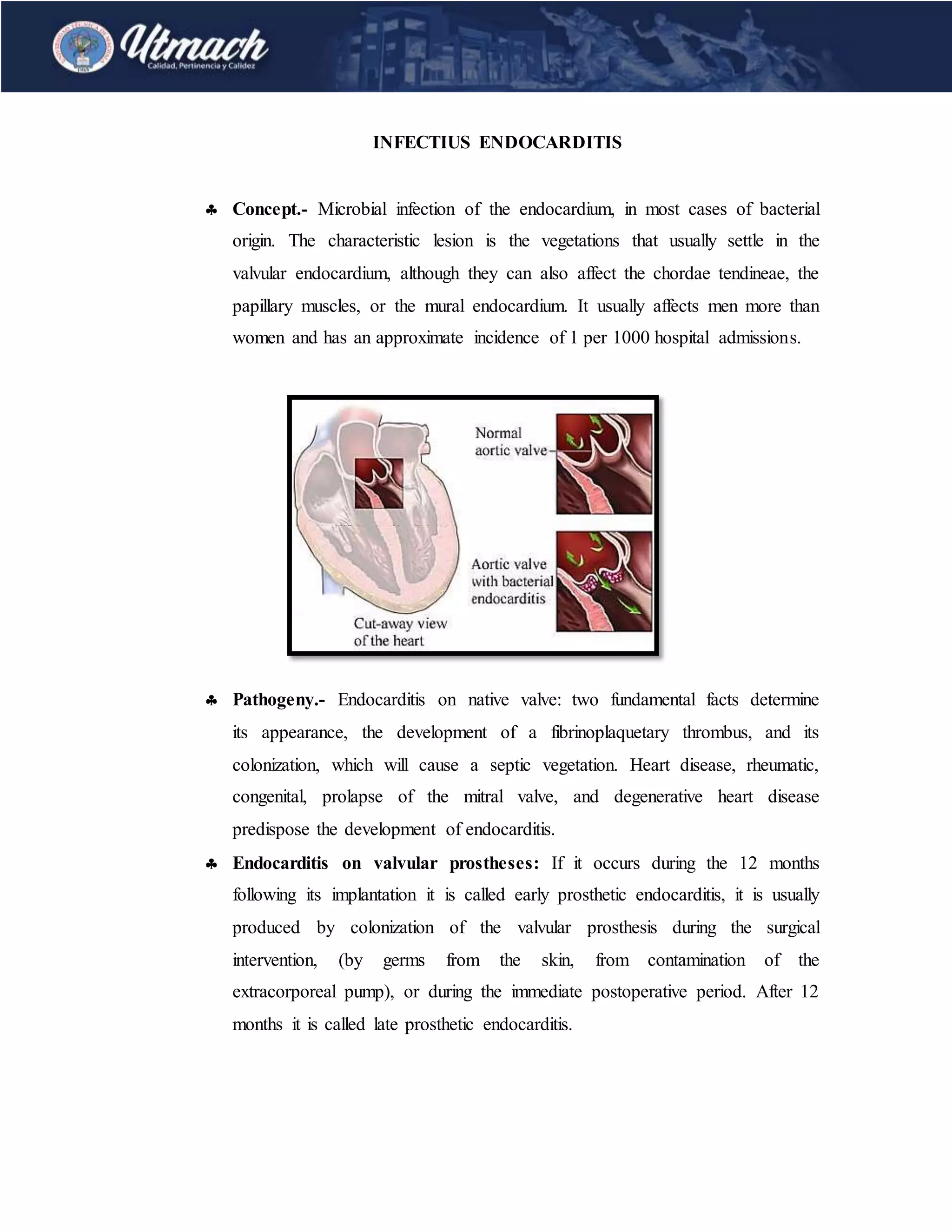 Infectius endocardithis (13) | DOCX