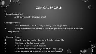 Infective Conjunctivitis acute follicular conjunctivitis associated ...