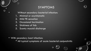 Infective Conjunctivitis acute follicular conjunctivitis associated ...