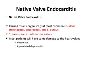 Infective endocarditis | PPT | Heart and Cardiovascular Diseases ...