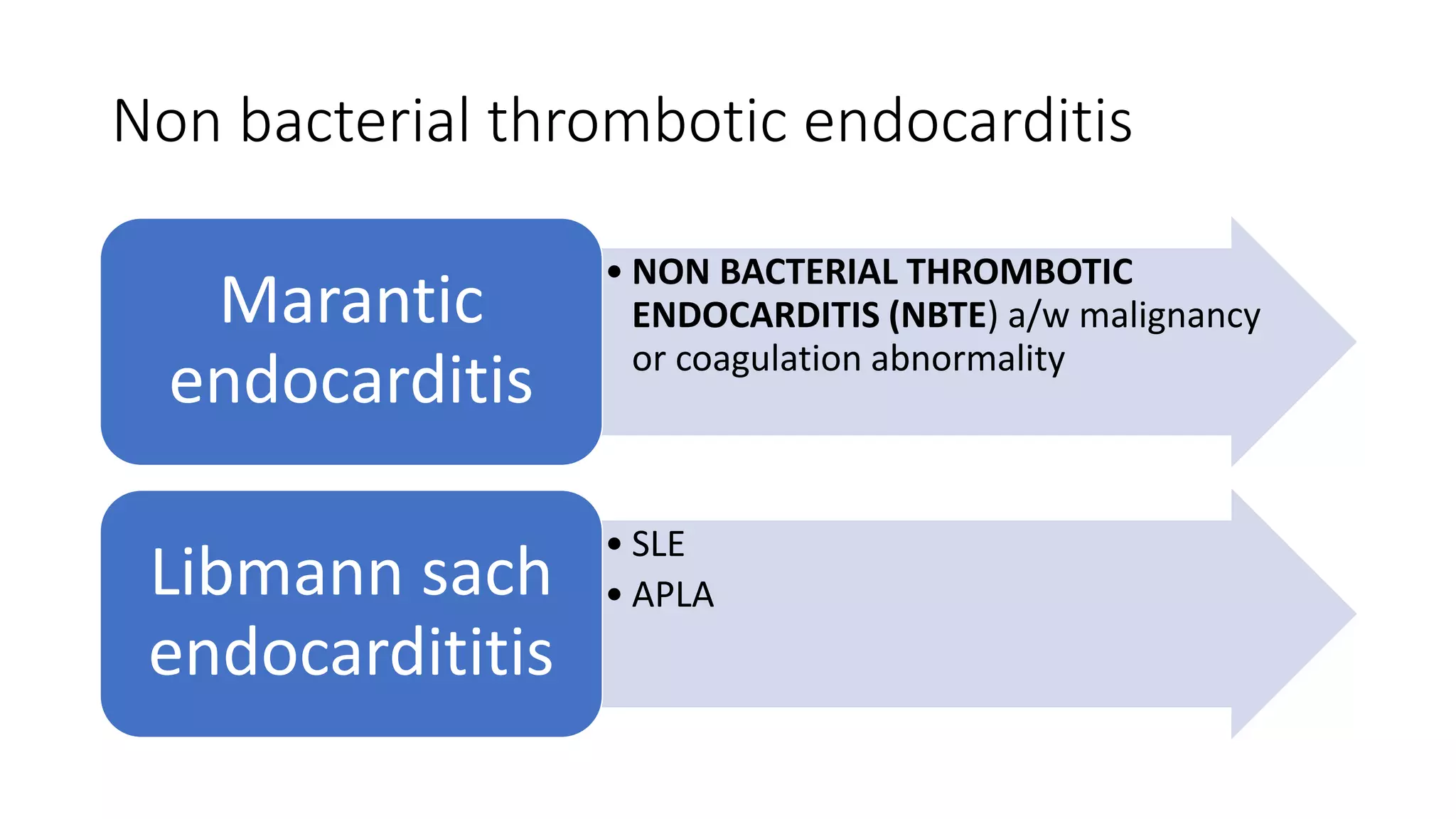 Infective endocarditis revision notes | PDF