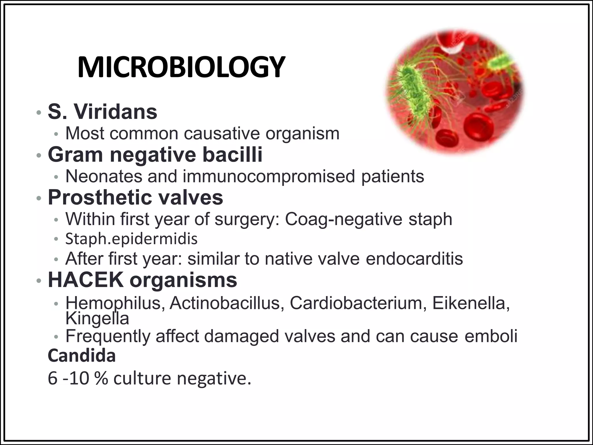 Infective Endocarditis Paediatrics | PPTX