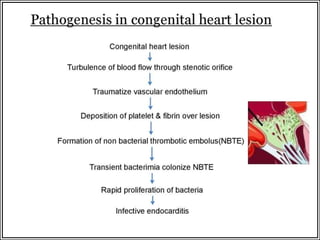 Infective Endocarditis Paediatrics | PPTX