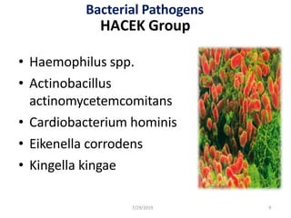 Infective endocarditis | PPT