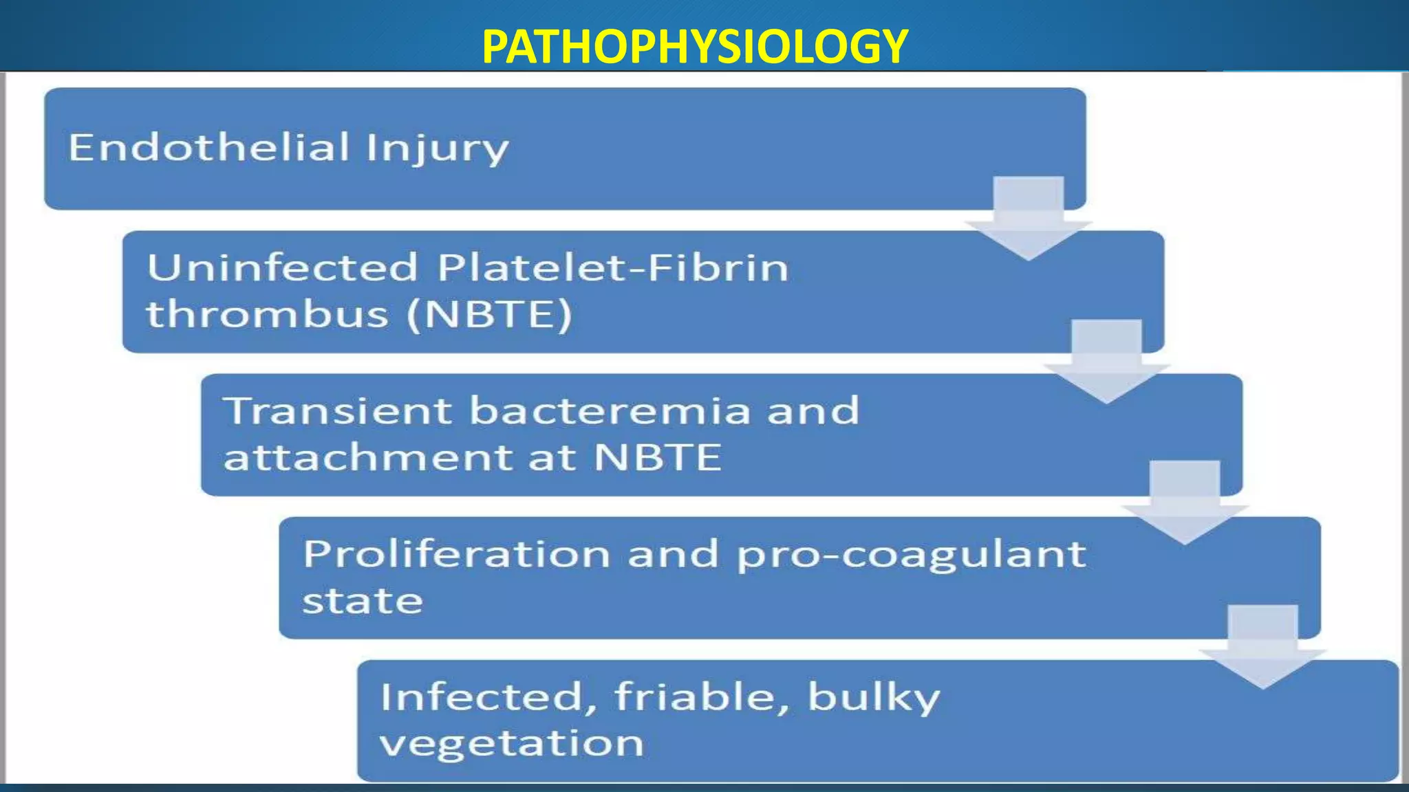 Infective endocarditis | PPTX