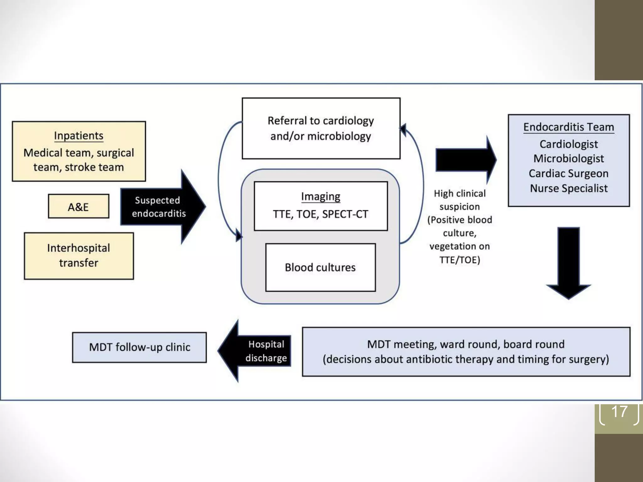 Infective Endocarditis.pdf
