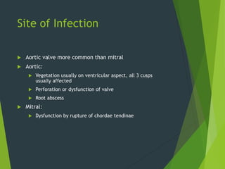 infective endocarditis a complete presentation.ppt