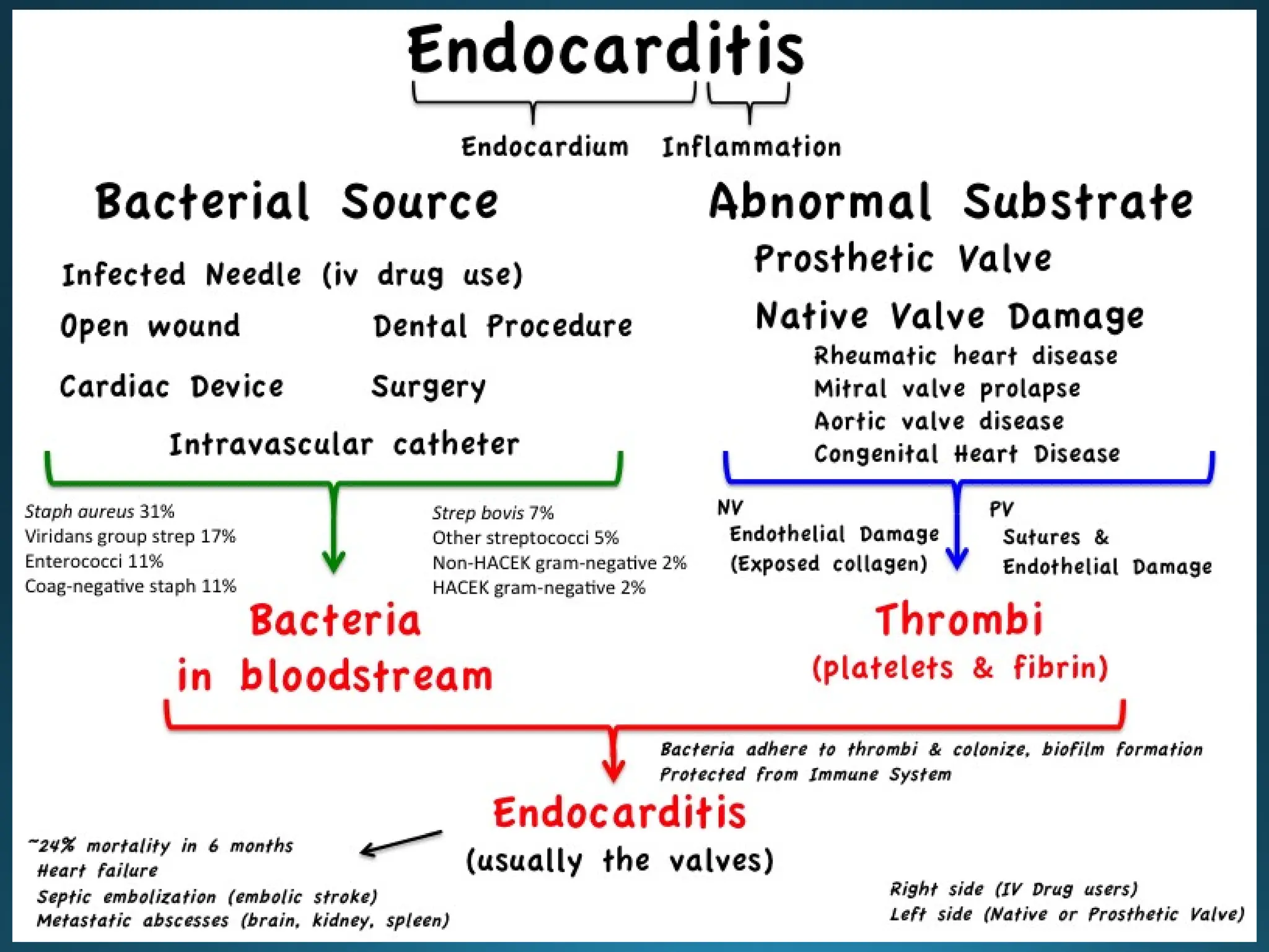 Infective endocarditis Endocrine Causes – Primary Aldosteronism ...