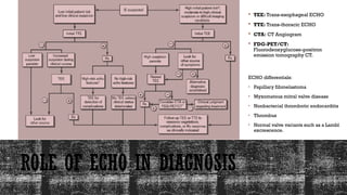 Infective Endocarditis: Epidemiology, Diagnosis, Imaging, and ...