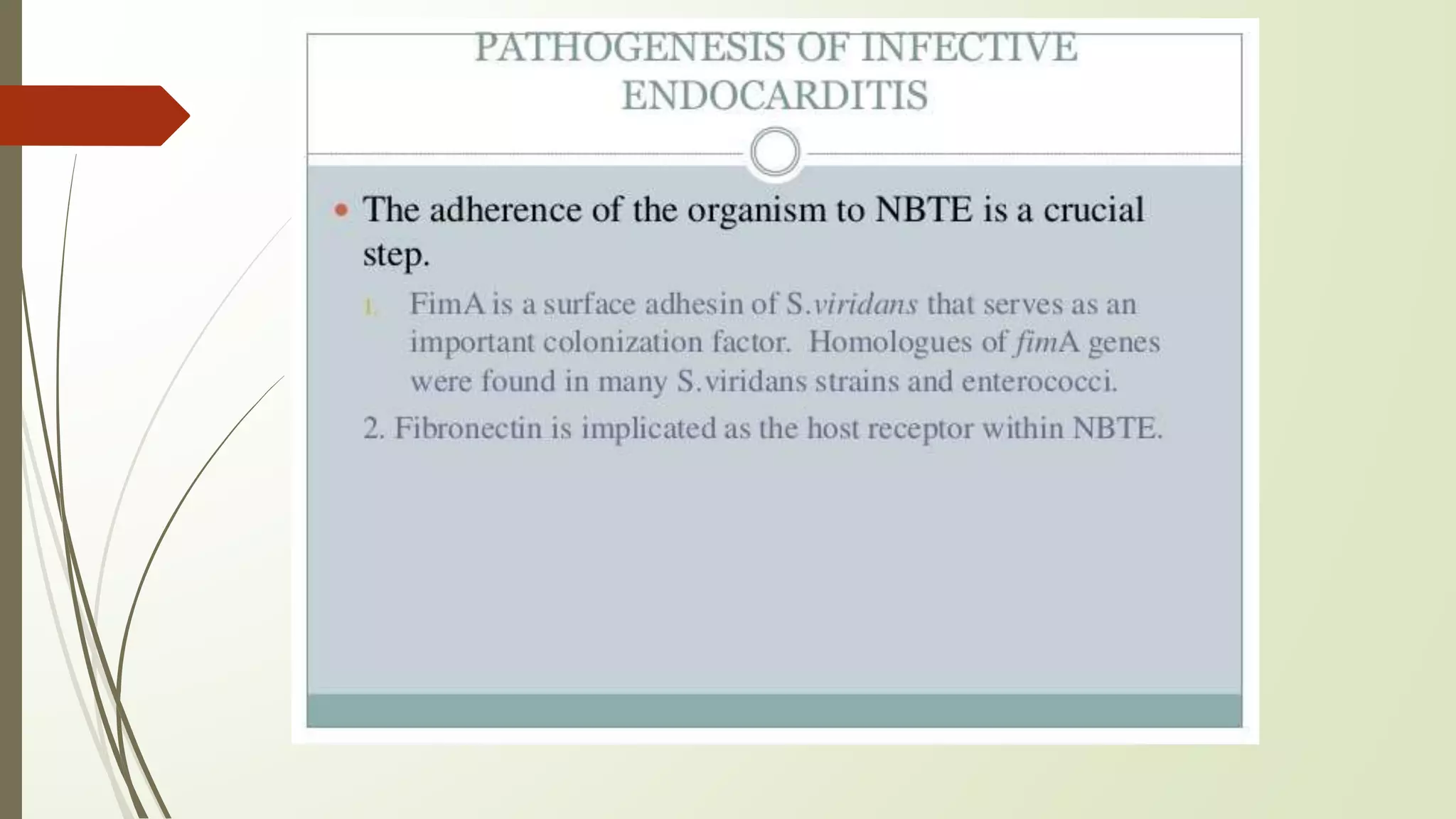 Infective endocarditis-CARDIO PPT.pptx