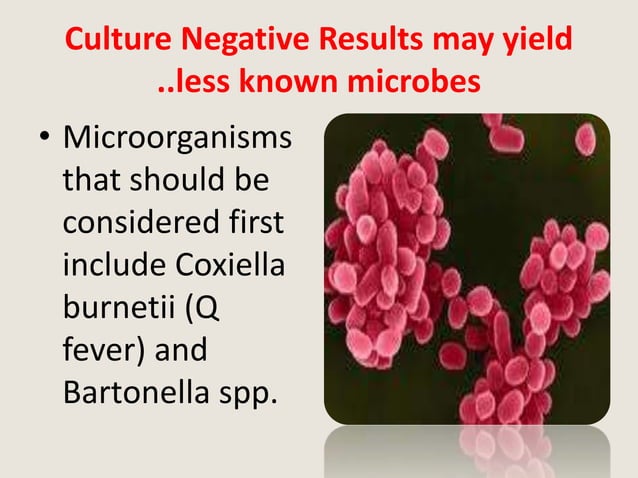 infective endocarditis c1.pptx Cardiovacsular system infection | PPT