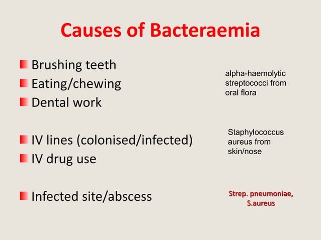 infective endocarditis c1.pptx Cardiovacsular system infection | PPT