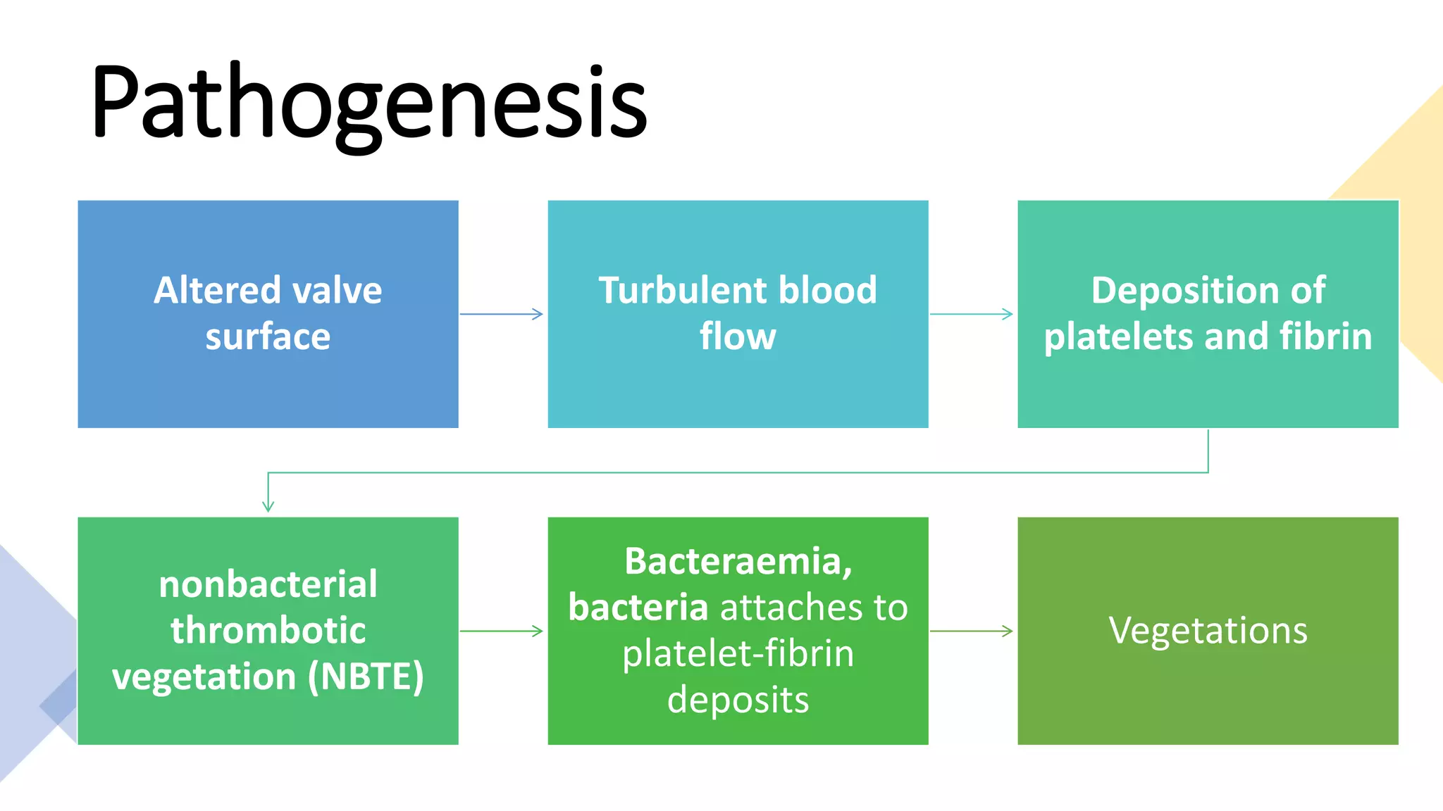 Infective endocarditis ESC guidelines Ahmed Yehia. MD | PPTX