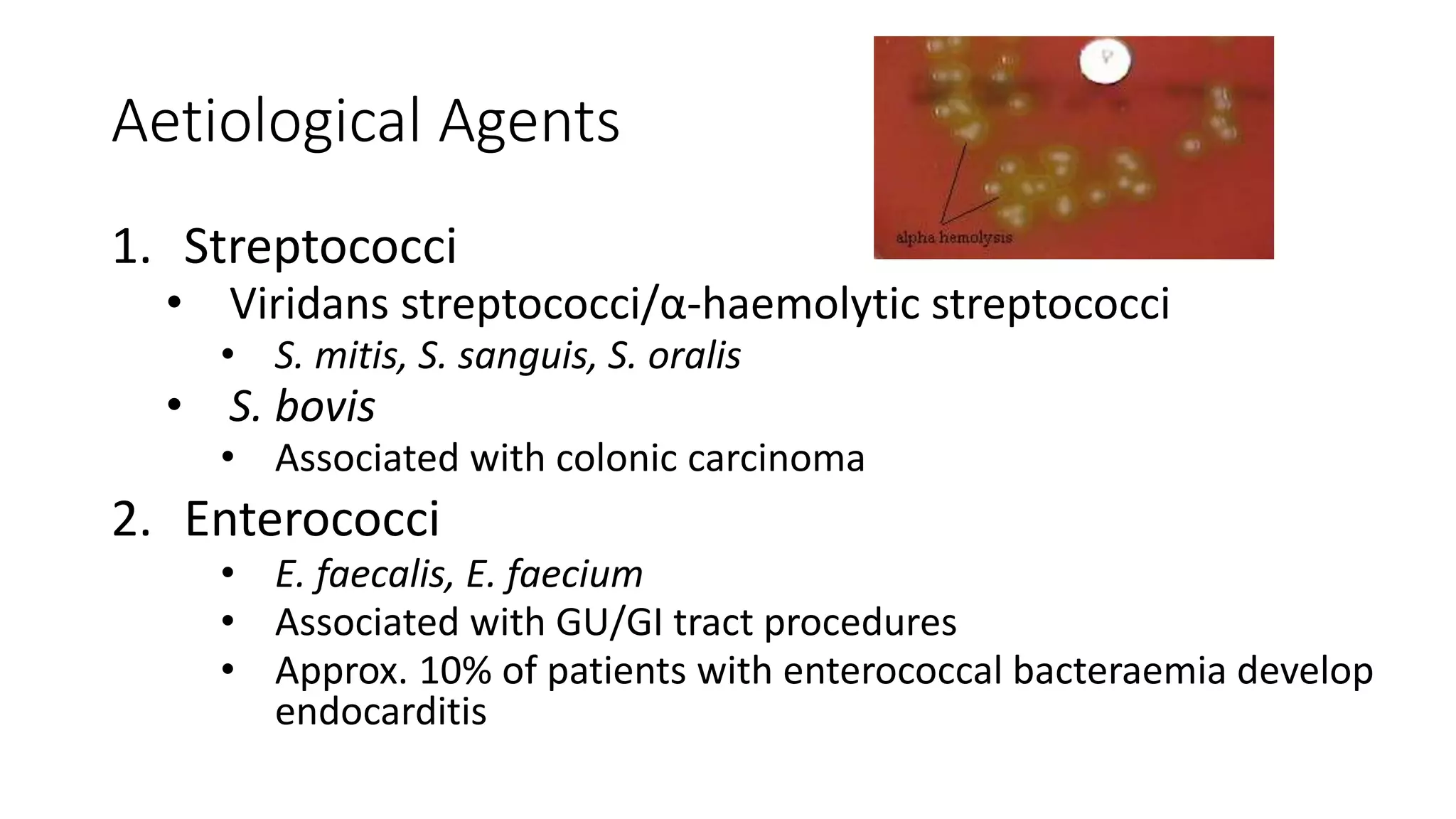 Infective endocarditis ESC guidelines Ahmed Yehia. MD | PPTX