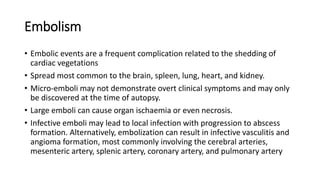 Infective Endocarditis ppt.pptx