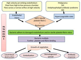 INFECTIVE ENDOCARDITIS PPT for Medical Graduates | PPTX