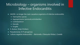 Infective Endocarditis | PPTX