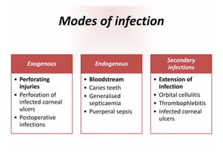 Infective endophthalmitis | PPTX