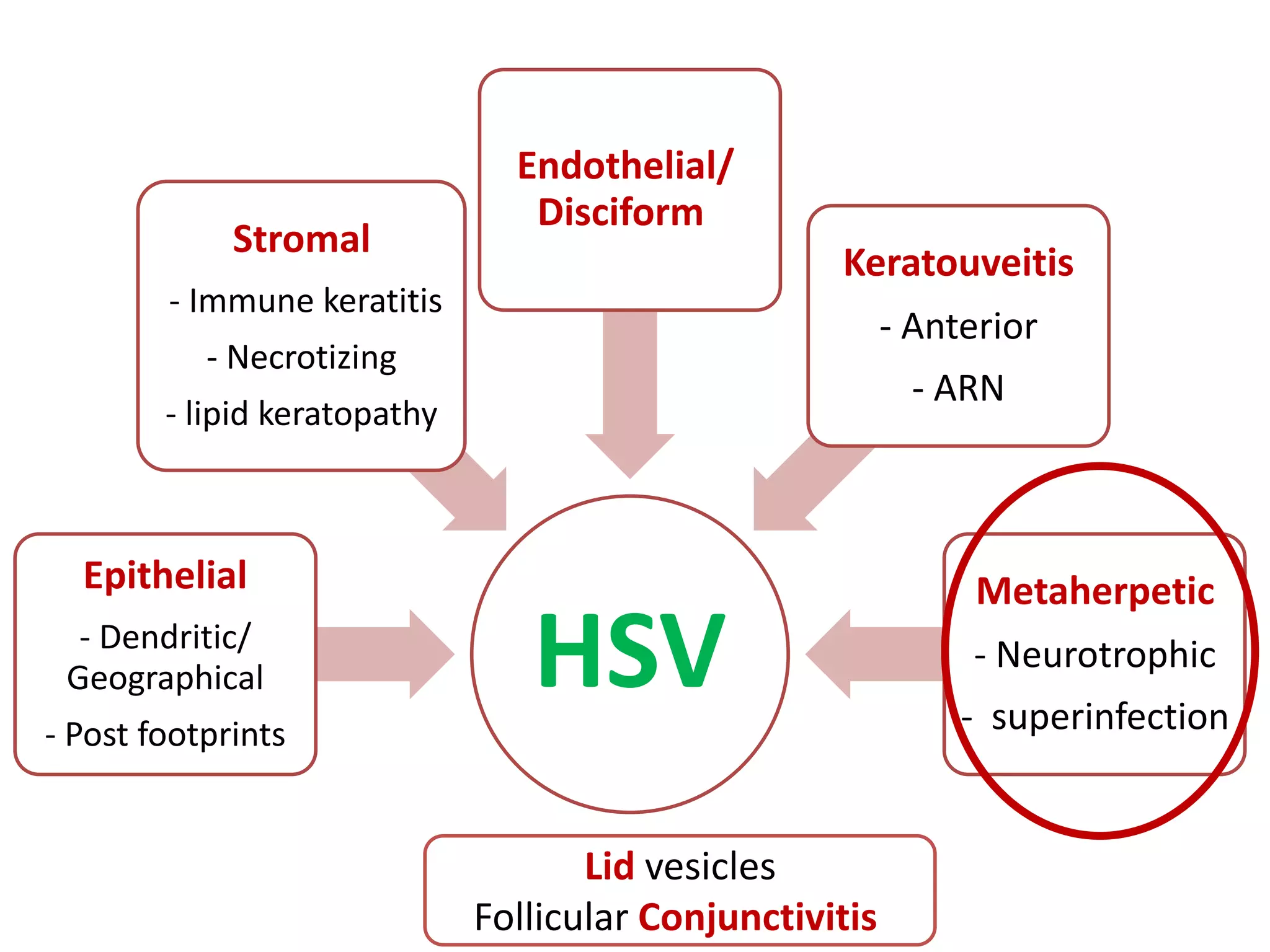 Infective keratitis ZOH 2021 | PDF