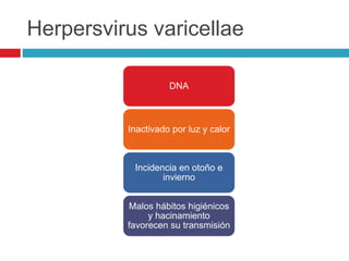 INFECCIONES EXANTEMATICAS PEDIATRIA | PPTX