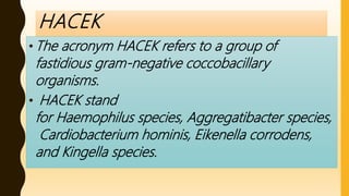 Endocarditis ( Inflammatory disease of the Heart | PPT
