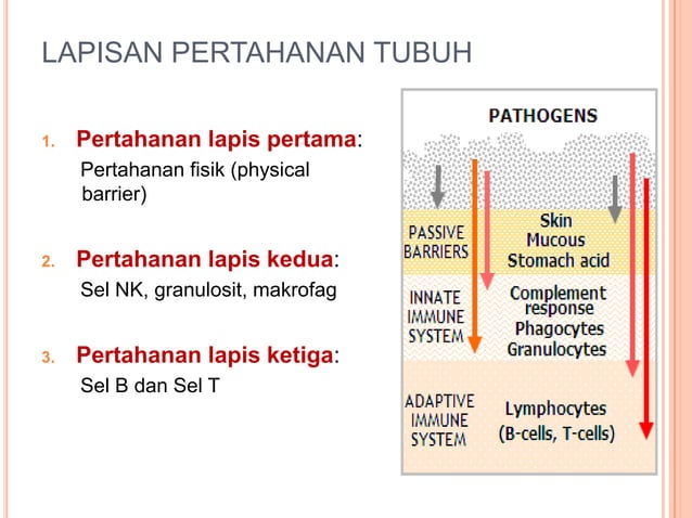 INFEKSI | PPTX