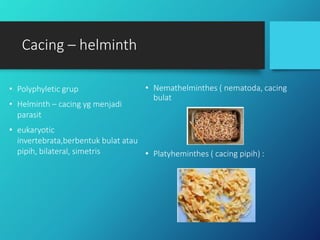 Infeksi cacing pada manusia | PPSX