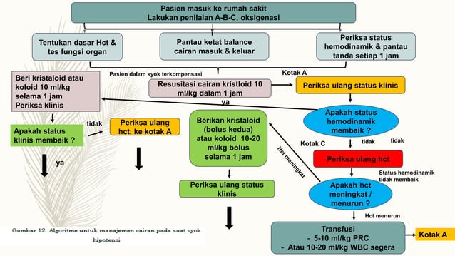 Infeksi dengue anak dan remaja update (1).pptx