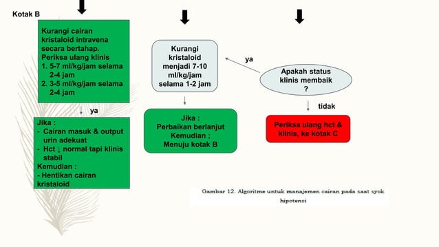 Infeksi dengue anak dan remaja update (1).pptx
