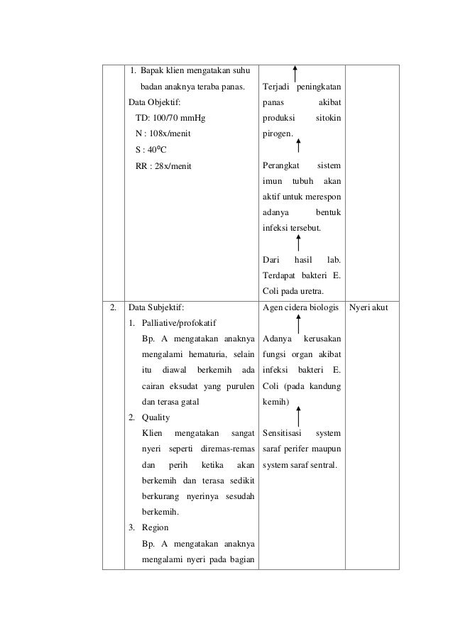 Asuhan Keperawatan Infeksi Asuhan Keperawatan Infeksi