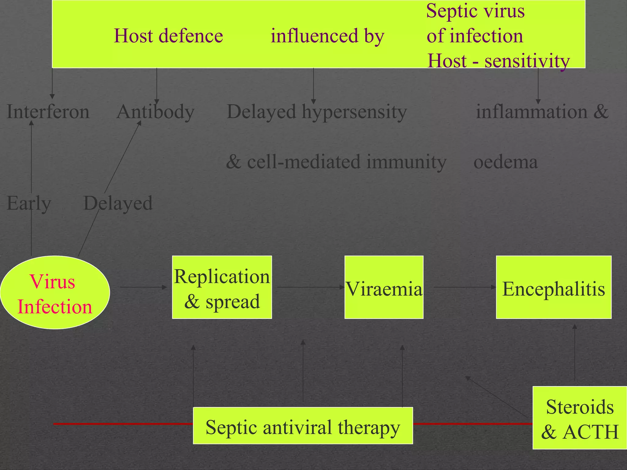 INFEKSI HERPES SIMPLEX, ZOSTER & WART | PPT