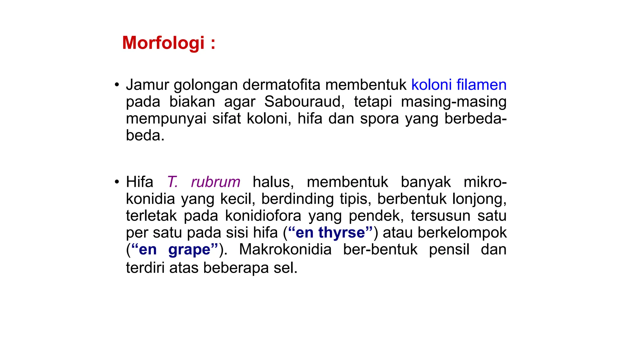 Infeksi Jamur pembagian dan tatalaksana slide | PPTX