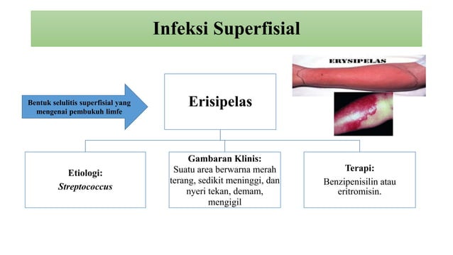 Infeksi kulit dan jaringan lunak | PPTX