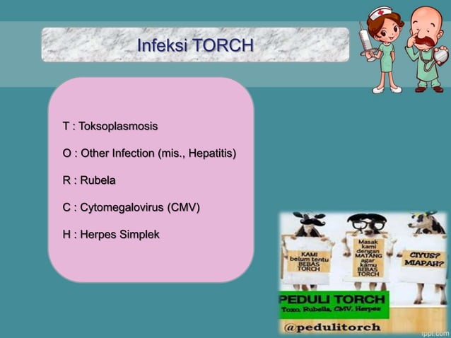 INFEKSI MATERNAL.ppt