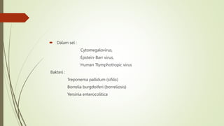 INFEKSI MENULAR LEWAT TRANFUSI DARAH (1).pptx