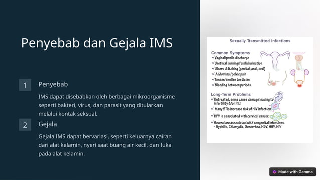 materi tentang infeksi menular seksual ( IMS ) | PPTX