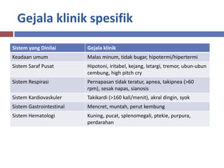 Infeksi neonatus | PPTX