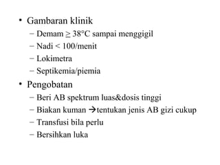 Infeksi nifas PARAMATA RAHA | PPT