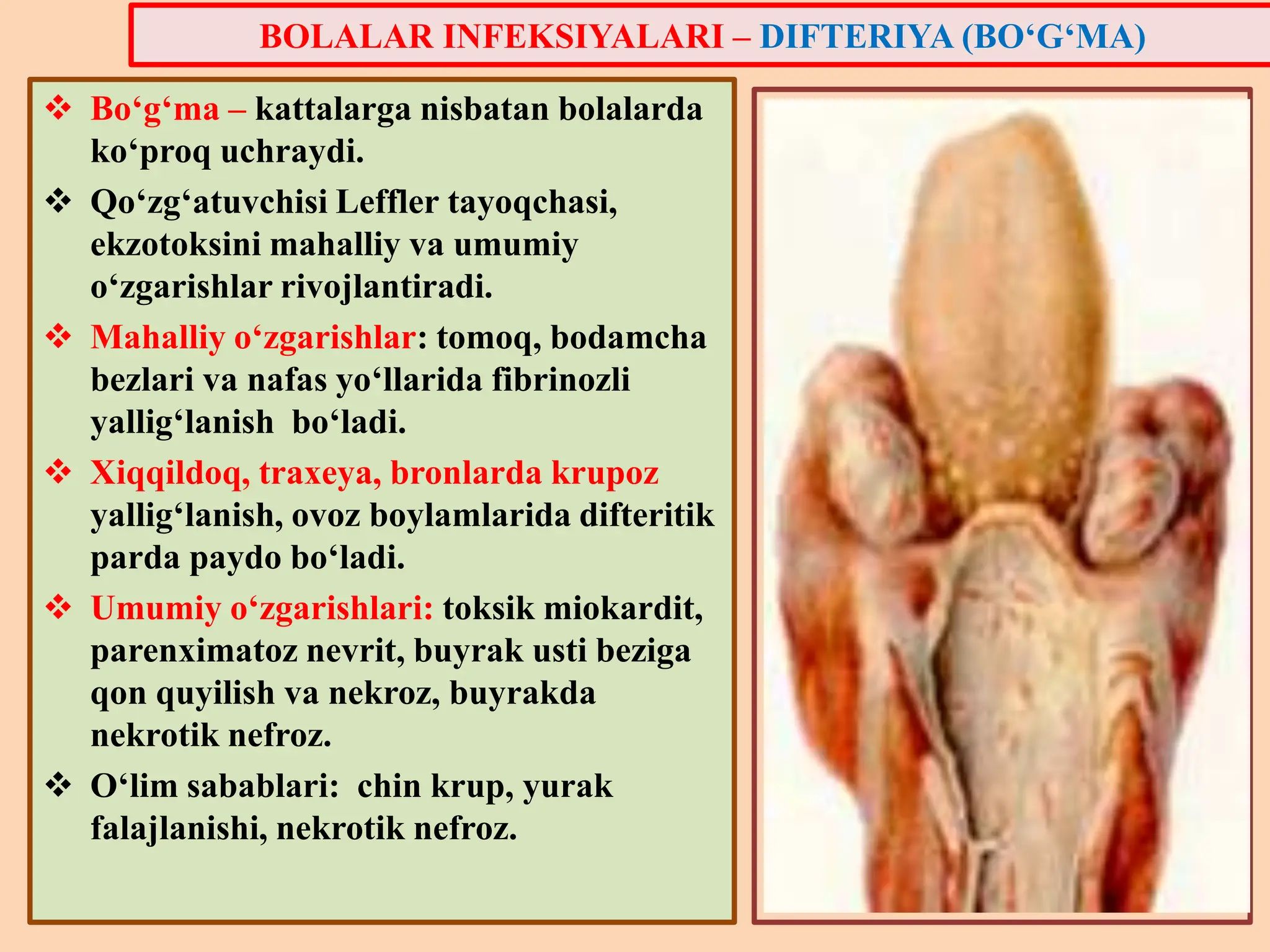 SamDTU patanatomiya kafedrasi INFEKSION KASALLIKLAR.ppt