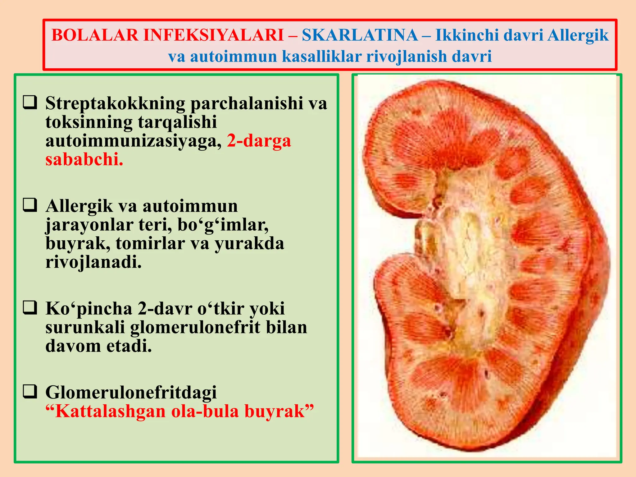 SamDTU patanatomiya kafedrasi INFEKSION KASALLIKLAR.ppt