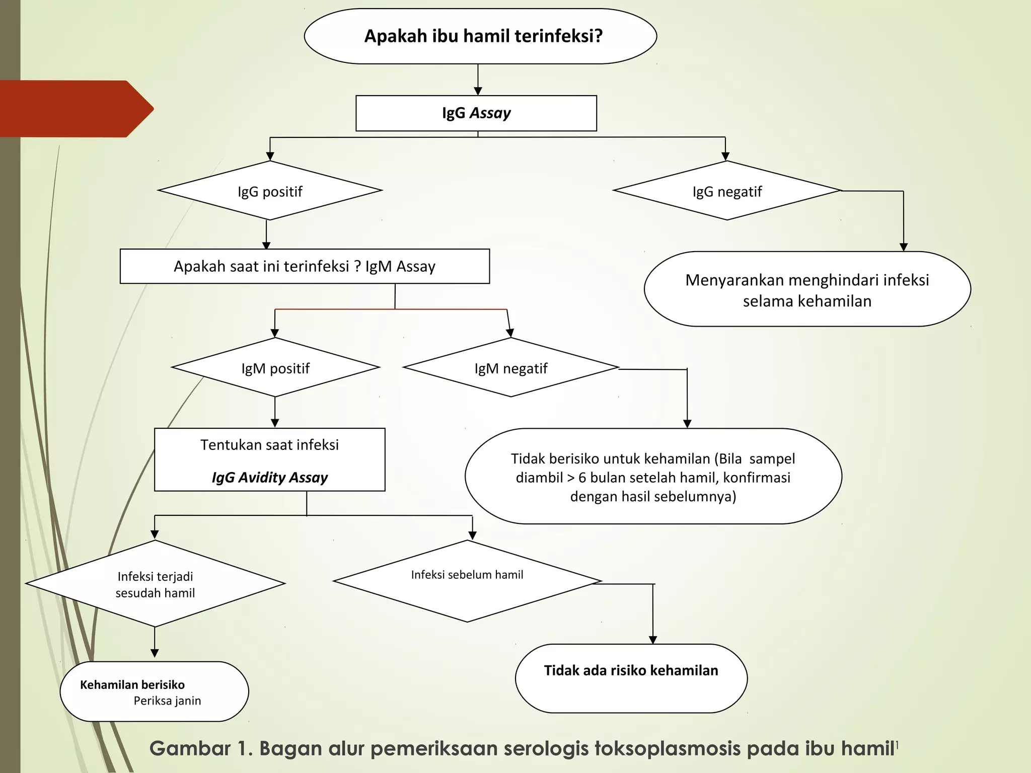 Infeksi perinatal | PPT