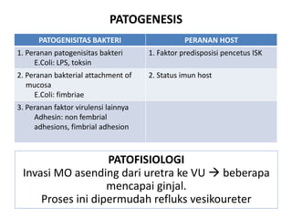 Infeksi saluran kemih | PPTX