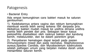 Infeksi saluran kemih | PPTX