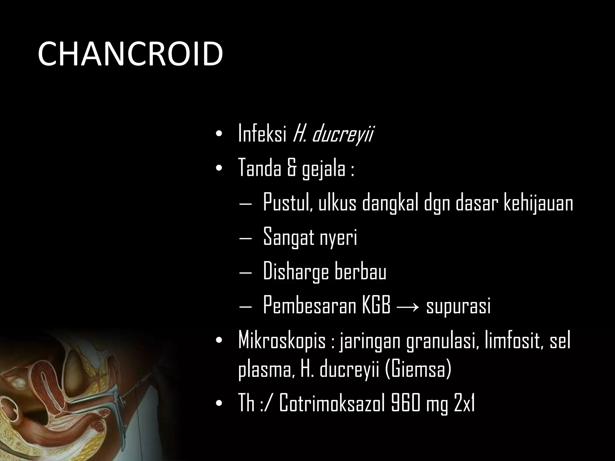 Infeksi saluran kemih dan genitalia | PPTX