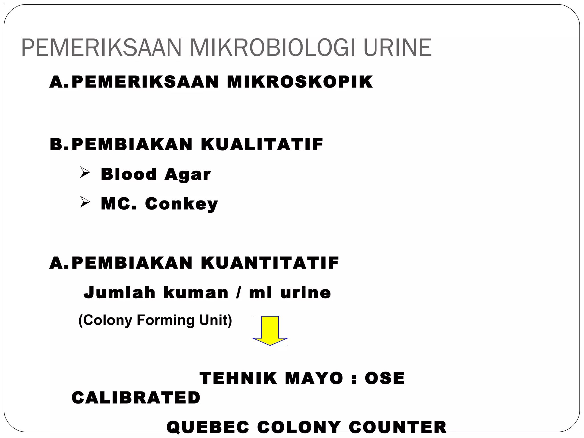 Infeksi saluran kencing lab