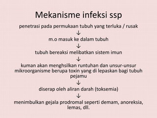Infeksi sistem saraf pusat | PPTX