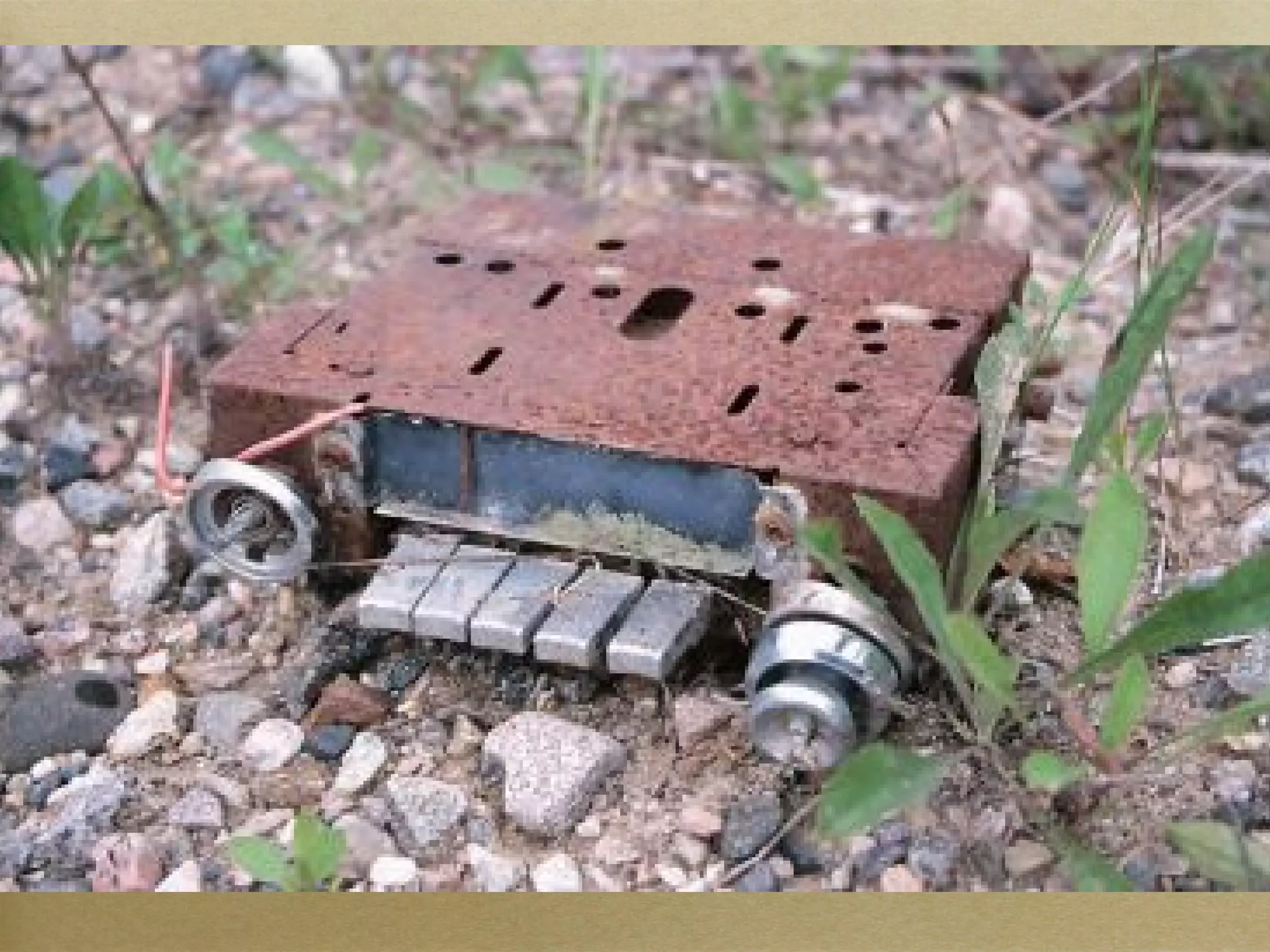 Inferences And Predictions | PPT